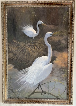 Owen Sound Artists' Co-op » Guest Artist Program